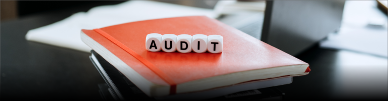 Auditor General’s Department Special Audit Report – Port Authority of ...