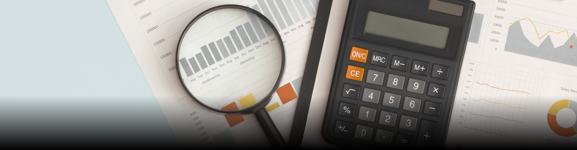 IT Audit Reports – Auditor General's Department