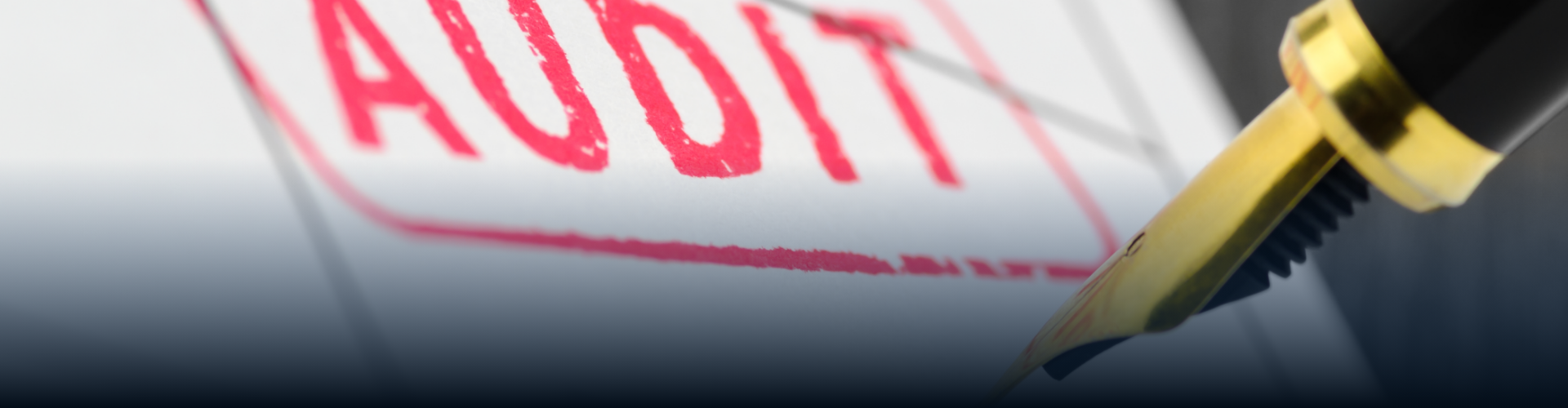 Special Audit Reports – Auditor General's Department